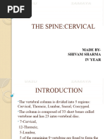 Goniometry of Cervical Spine | PDF