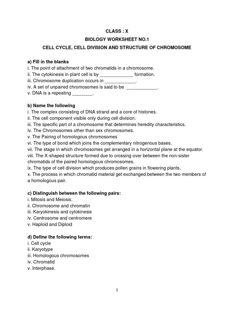 Biology Worksheet No 1 | PDF | Chromosome | Mitosis
