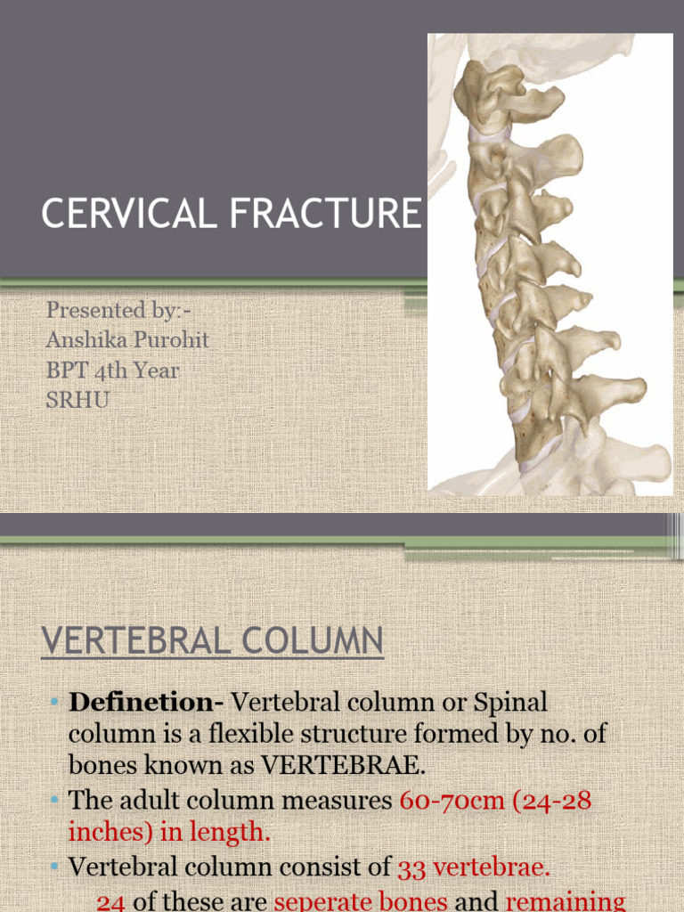 Cervical Fracture | PDF | Vertebra | Vertebral Column