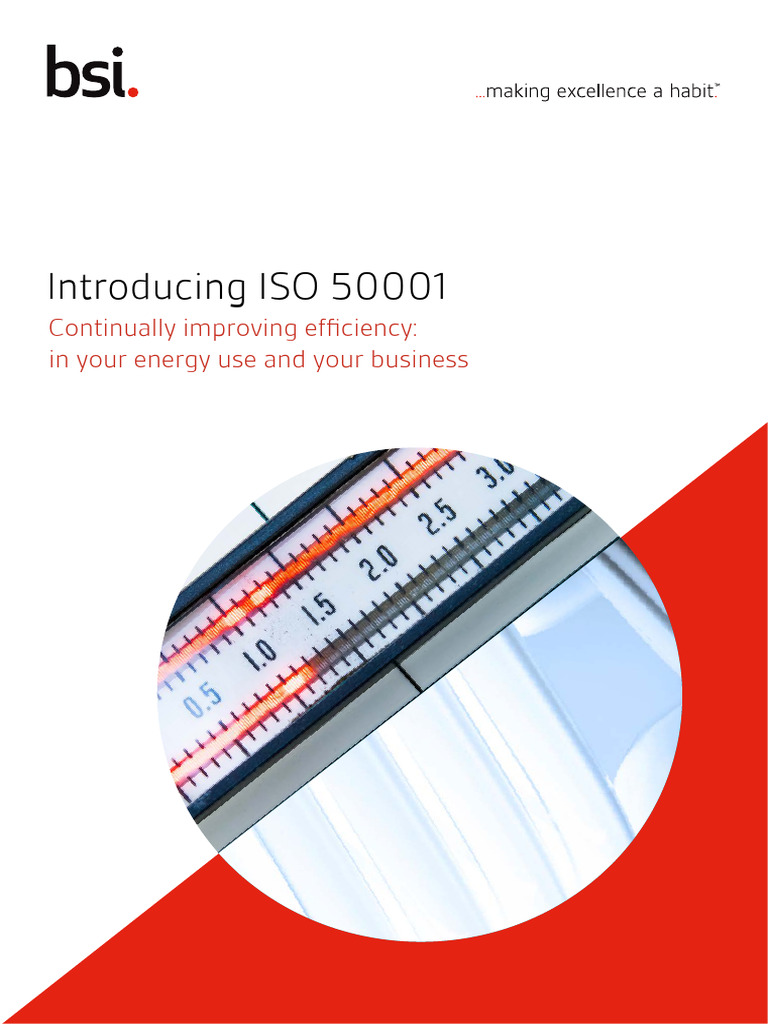 ISO 50001 Client Guide | PDF | Economy And The Environment | Natural ...