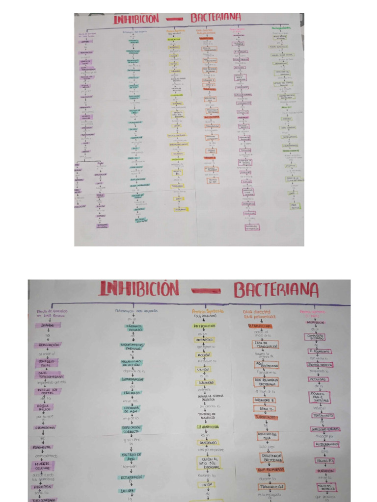 Inhibición Bacteriana | PDF
