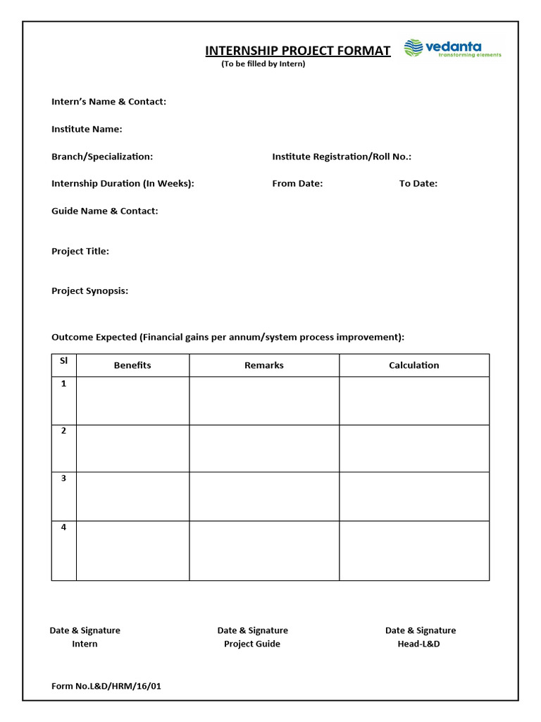 Internship Project Format Template | PDF