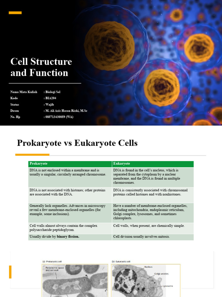 Cell Structure: Prokaryotes vs Eukaryotes | PDF | Cell (Biology ...