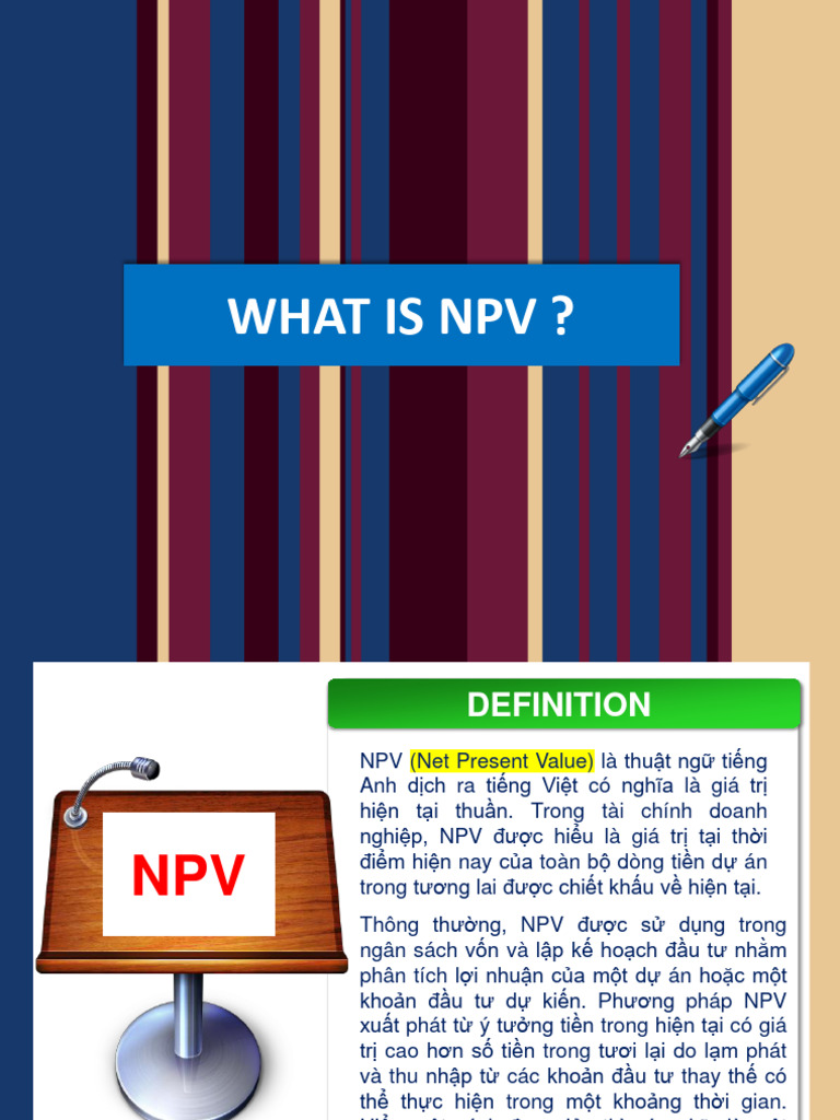 NPV Explanation | PDF