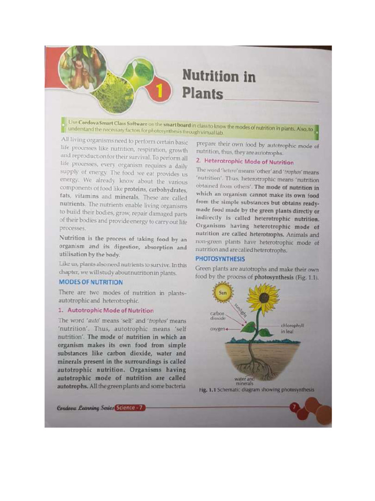 Class VII Science Ebook | PDF