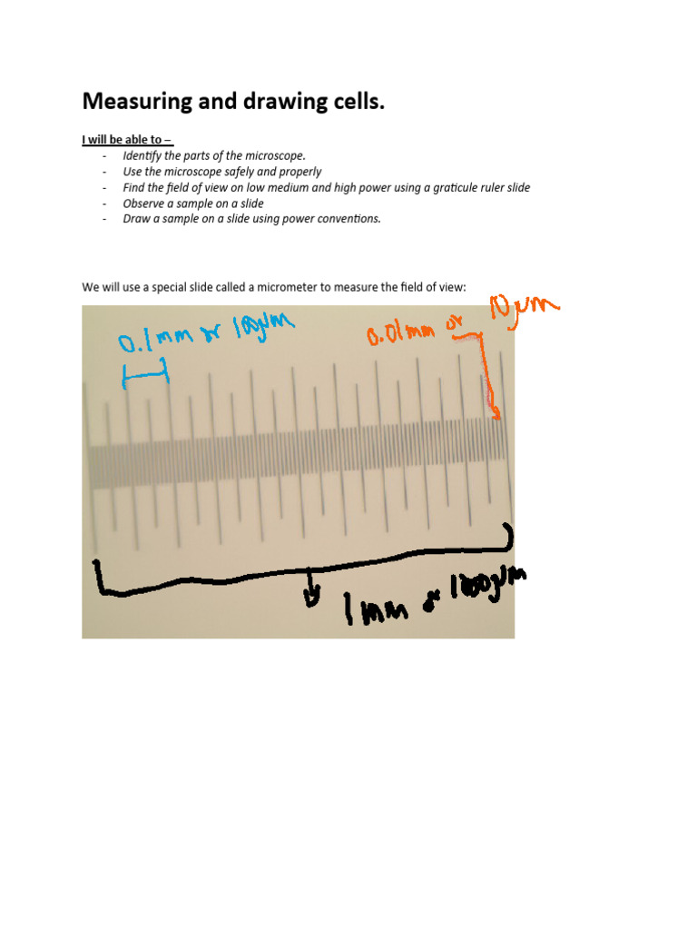 Calibrating Eyepiece Graticule Guide | PDF | Microscope | Field Of View
