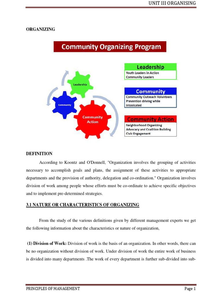 Unit 3 Organising PDF | PDF | Organizational Structure | Decentralization