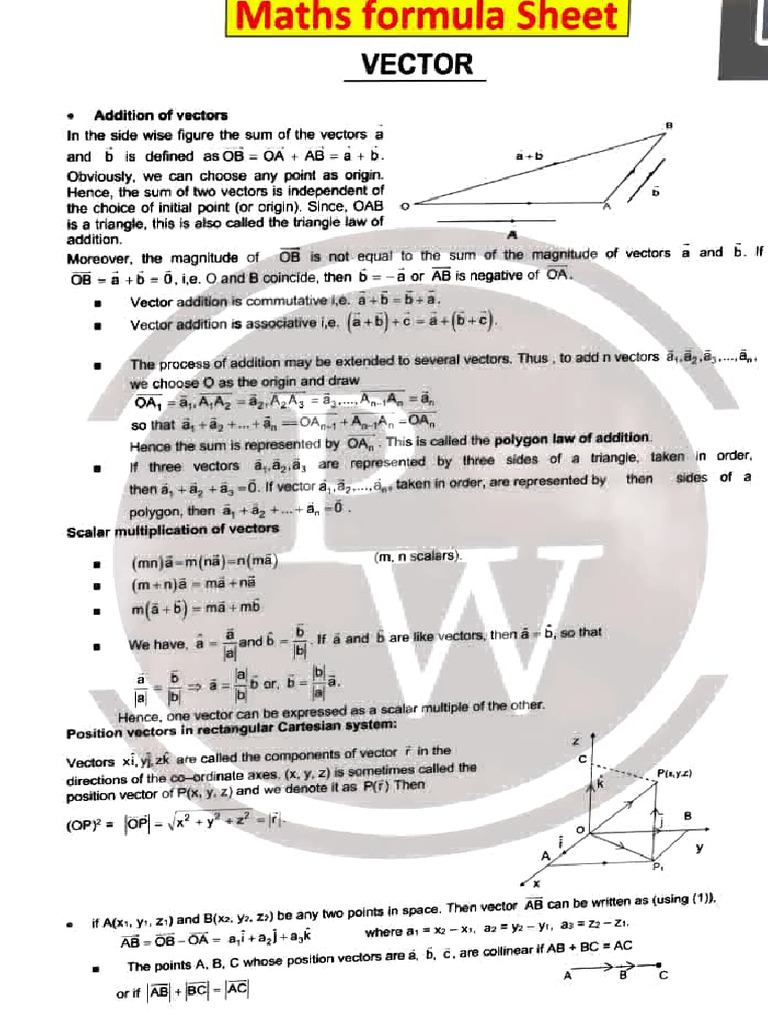 PW Notes | Download Free PDF | Euclidean Vector | Space