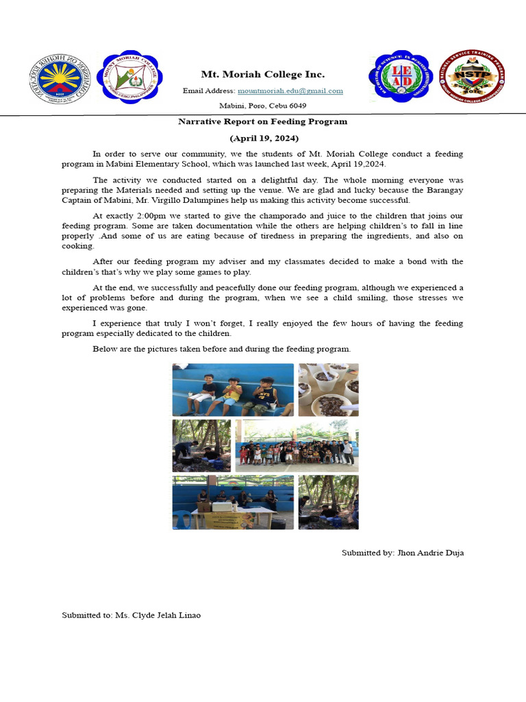 Narrative Report Example | PDF