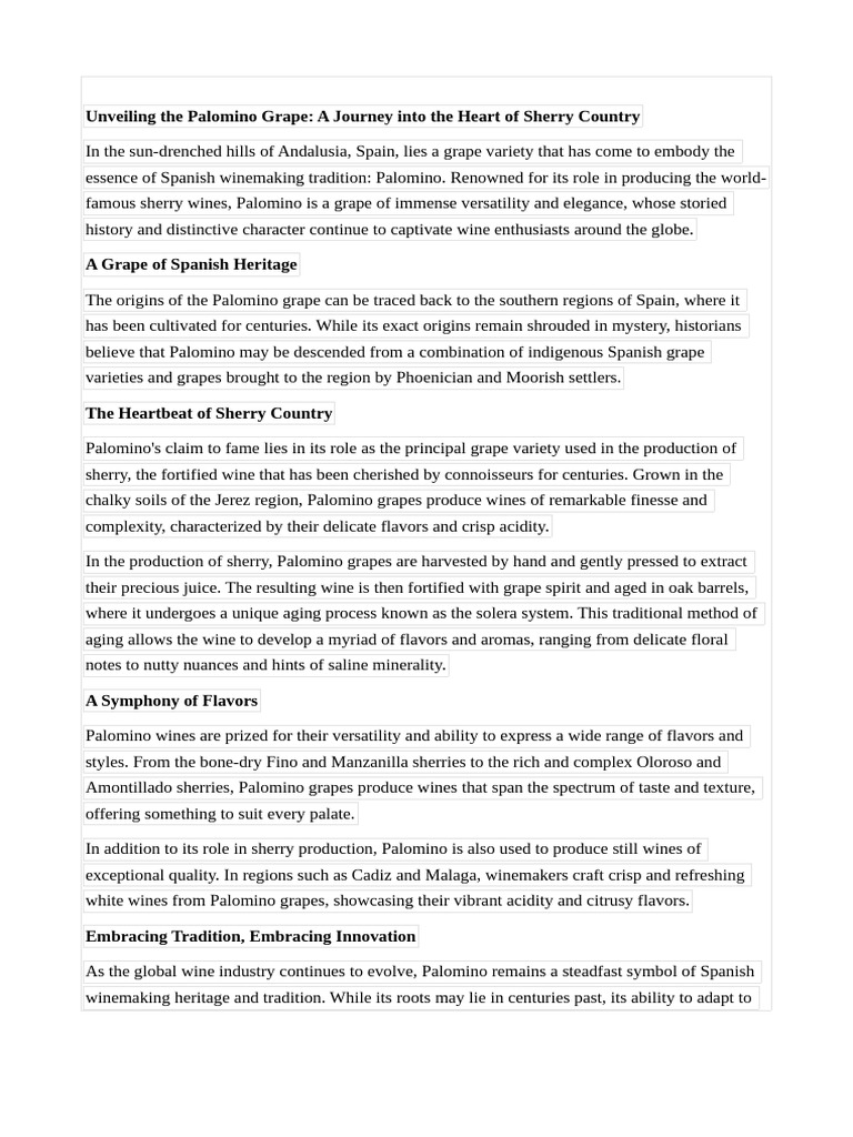 Discovering the Palomino Grape's Legacy | PDF | Grape | Fermented Drinks