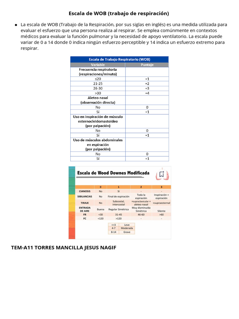 Escala de WOB (Trabajo de Respiración) TAREA | PDF