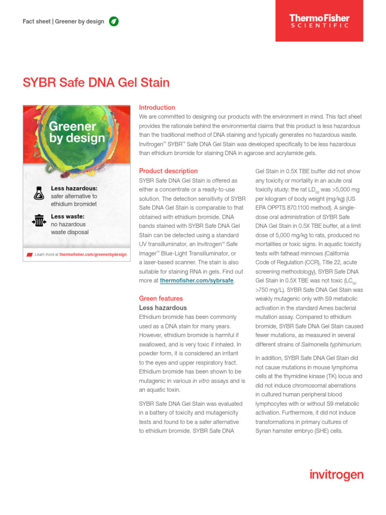 TFS-Assets - LSG - Brochures - SYBR Safe DNA Gel Stain - Green Fact Sheet | PDF | Agarose Gel ...