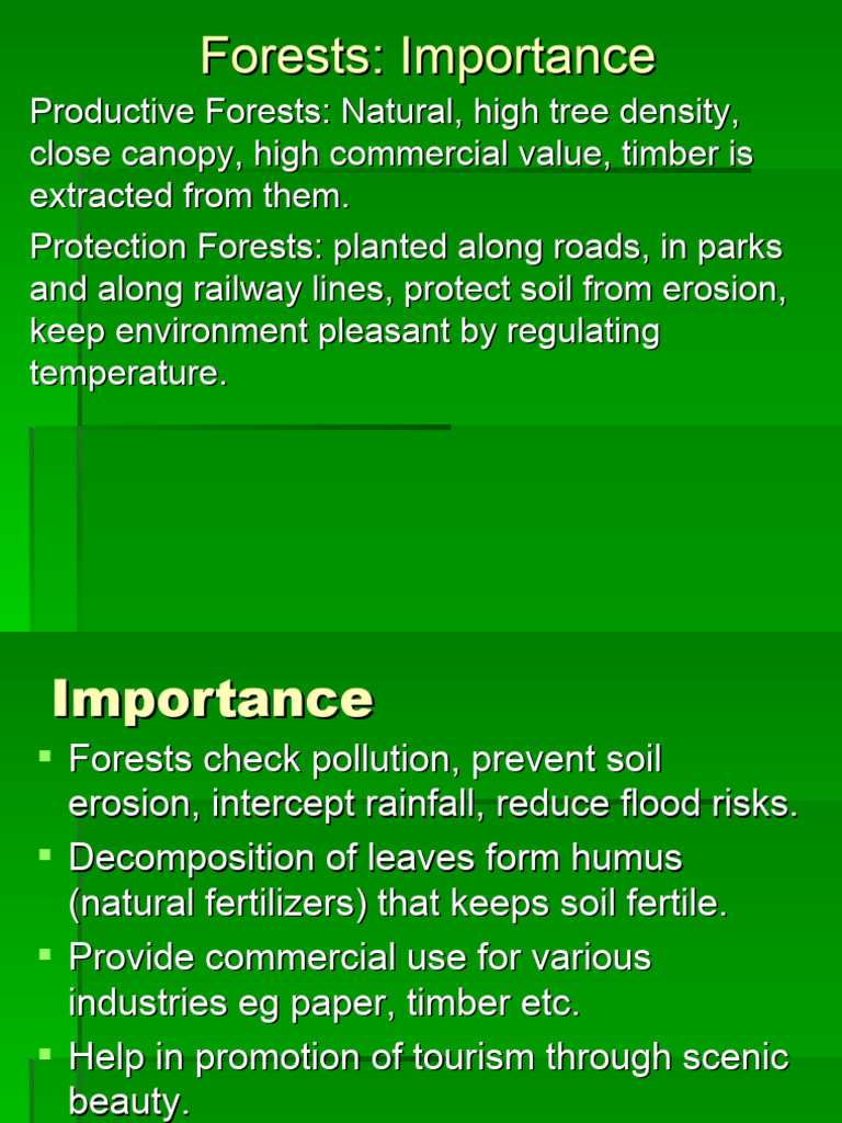 Forests 1 | PDF | Forests | Soil