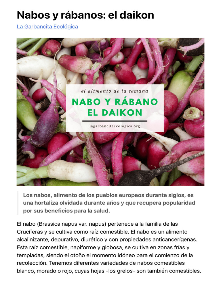 Nabos y Rábanos: El Daikon | PDF | ensalada | Nabo