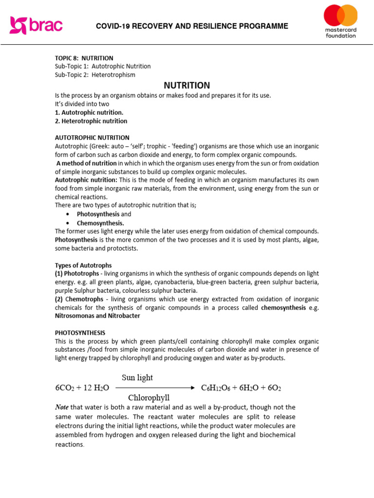 Topic 8 - Nutrition | PDF | Photosynthesis | Photodissociation