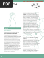 Think Straight | PDF | Thought | Mind