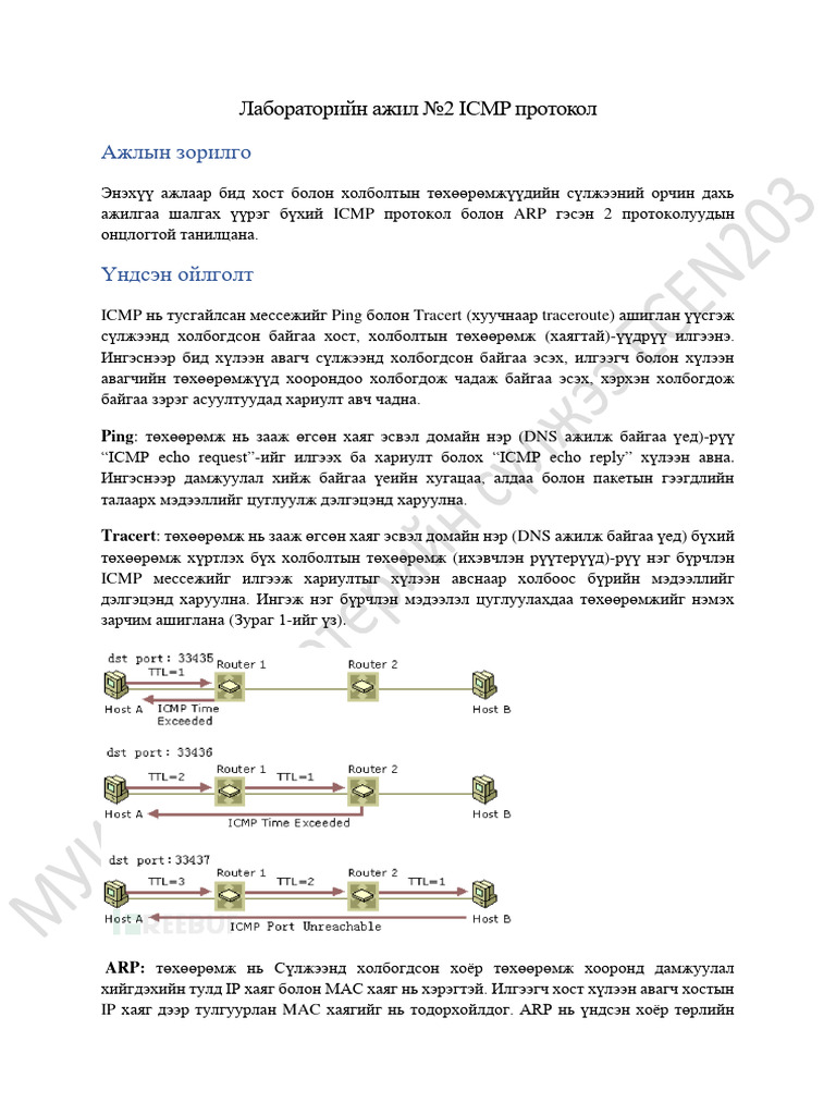 8 Icmp | PDF