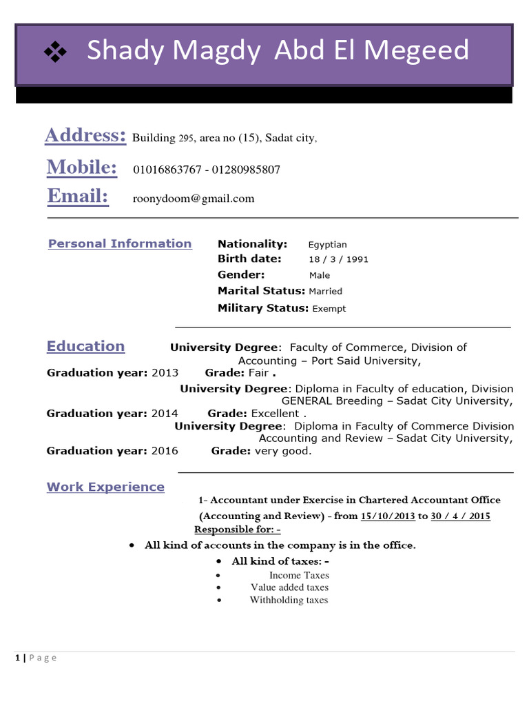 CV Shady Magdy | PDF | Economies | Payments