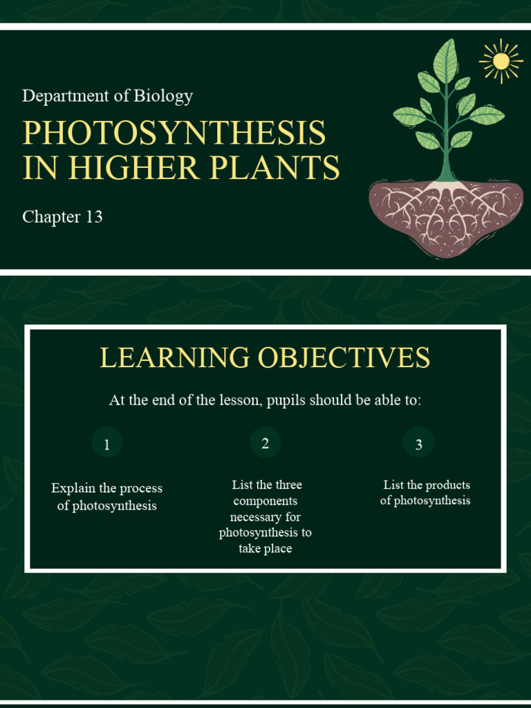 Understanding Photosynthesis in Plants | PDF | Photosynthesis | Chemistry