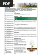 Tree Plantation Project | PDF