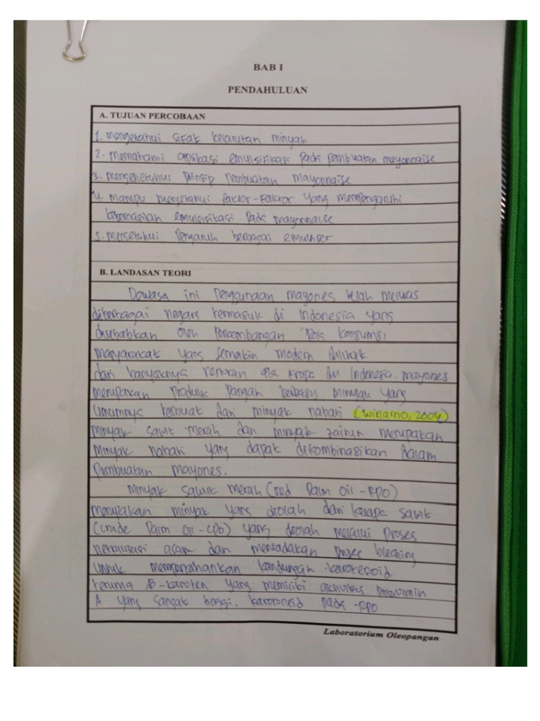 Laprak Oleopangan Modul Pembuatan Mayonnaise | PDF