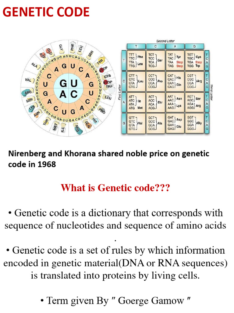 Genetic Code | PDF | Genetic Code | Gene