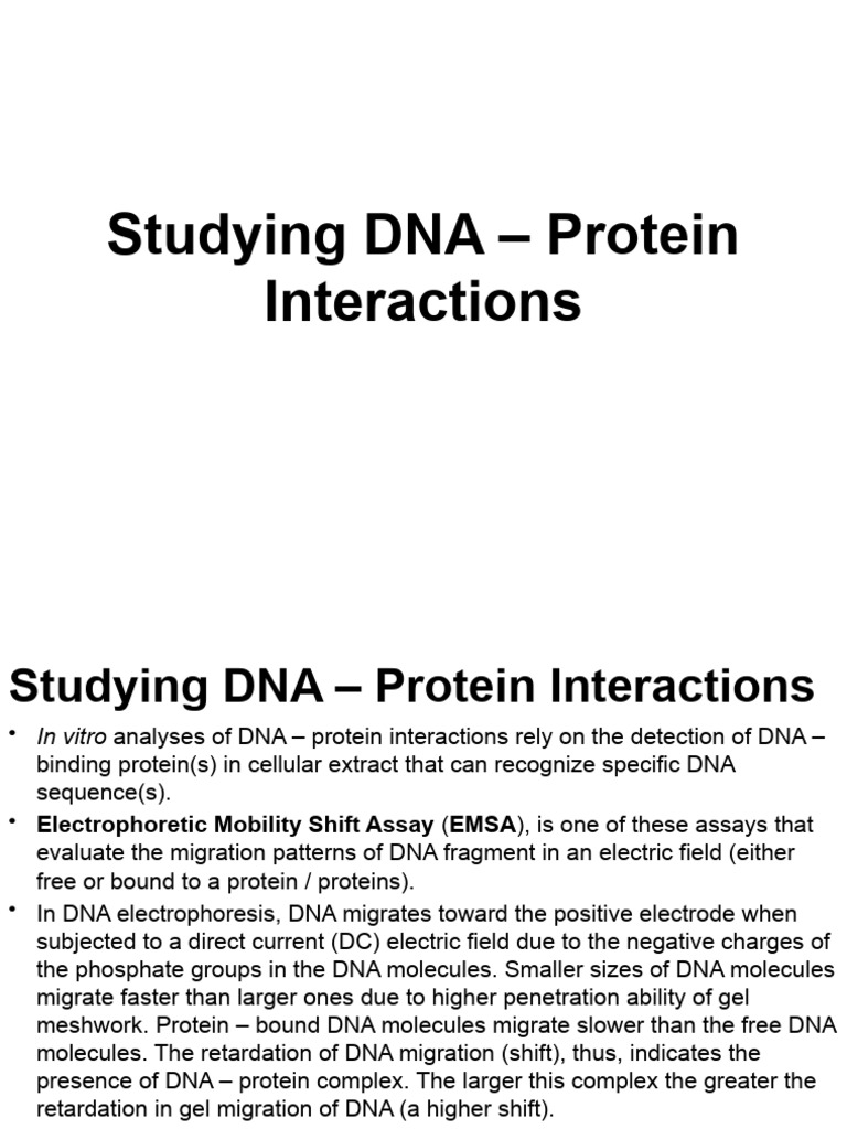 DNA-Protein Interaction Assays | PDF | Immunoprecipitation | Gel ...