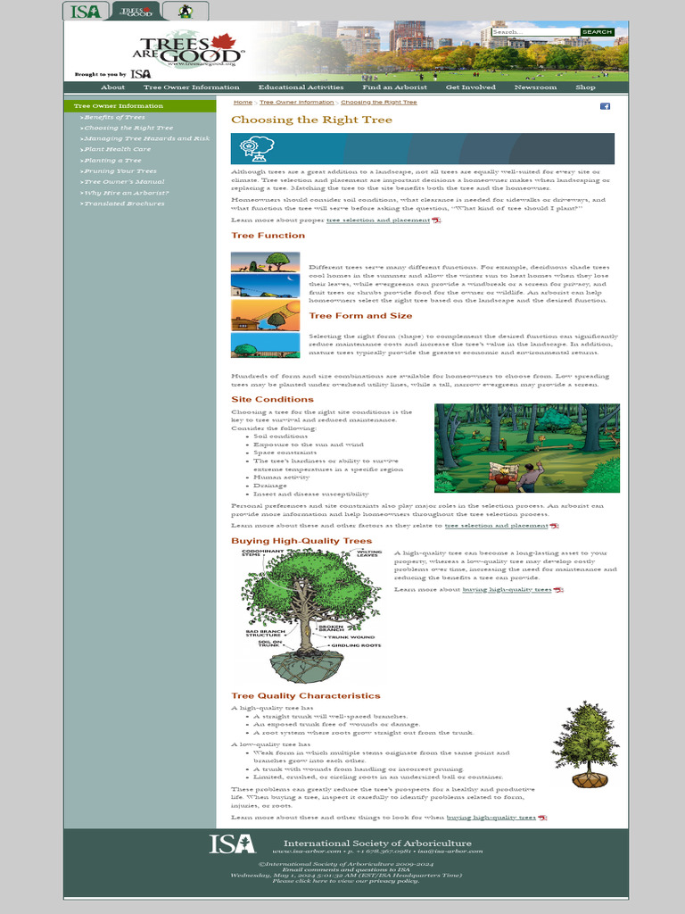 Choosing The Right Tree | PDF | Trees | Botany