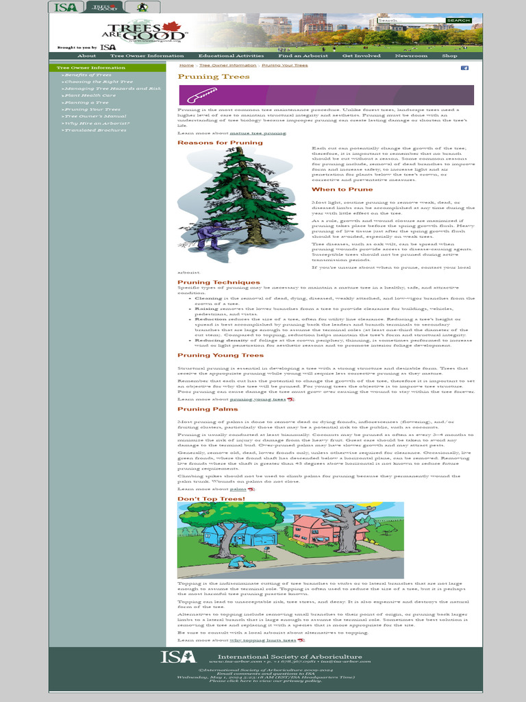 Pruning Trees Pdf Pruning Trees