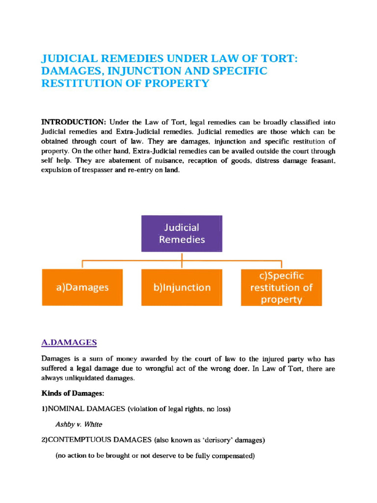 Judicial Remedies in Tort Law | PDF | Damages | Injunction