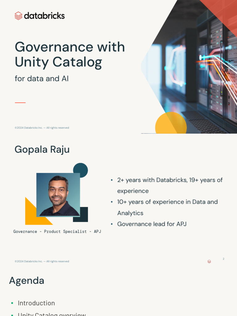 Databricks Unity Catalog - Jan 2024 | Download Free PDF | Databases | Metadata