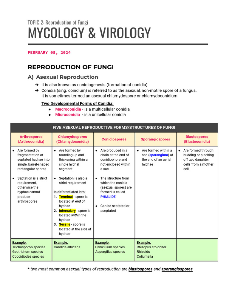 Reproduction of Fungi | PDF | Fungus | Sexual Reproduction