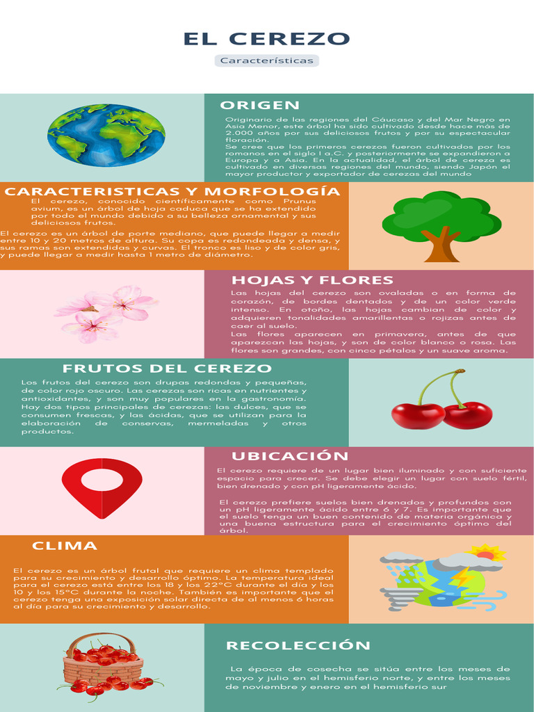 Cerezo | PDF | Cereza | Arboles