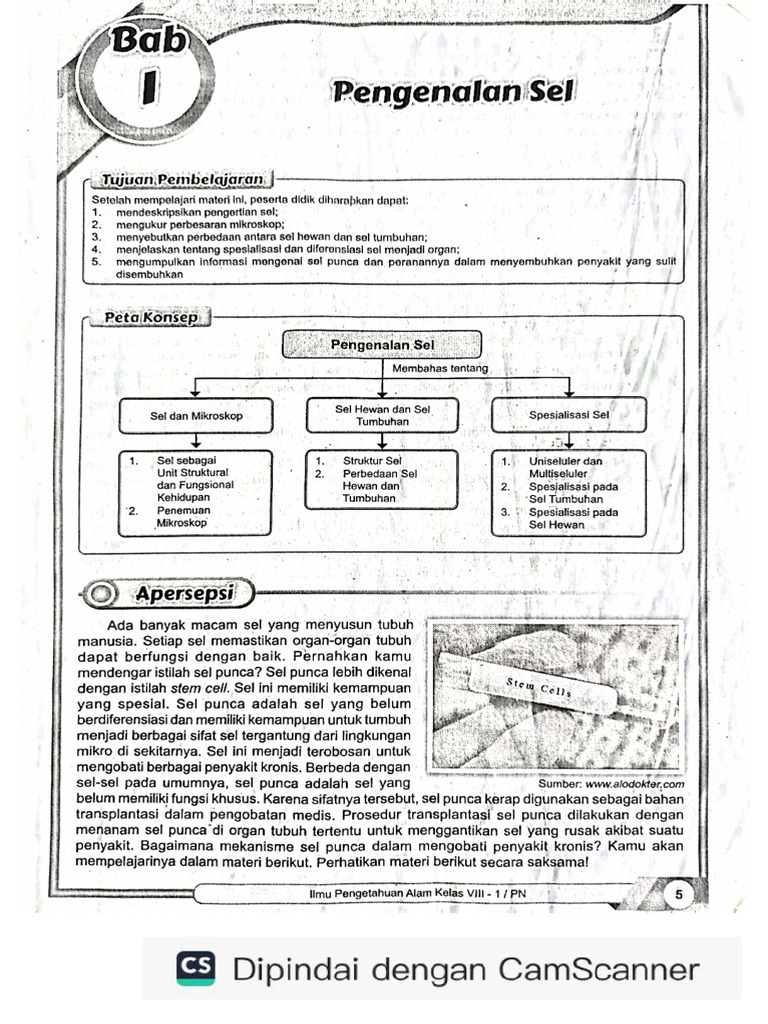 Pengenalan Sel | PDF