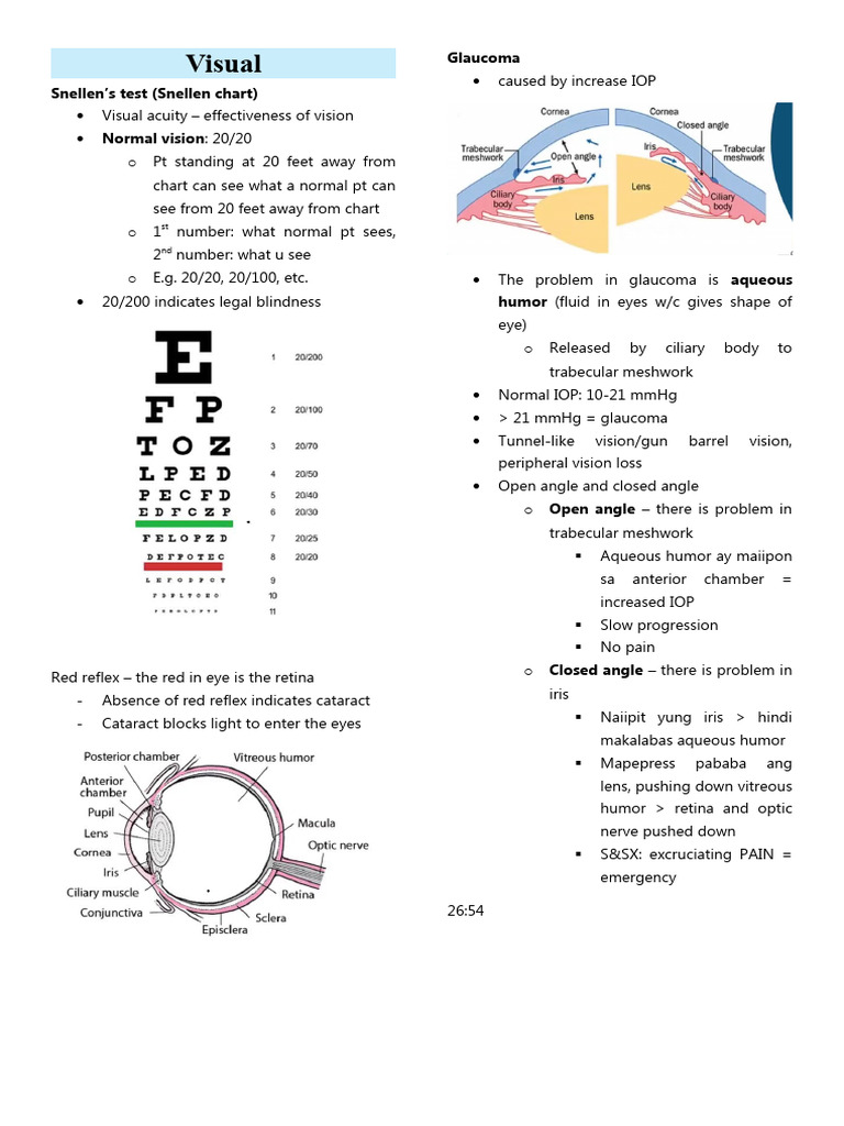 Visual | Download Free PDF | Glaucoma | Visual Acuity