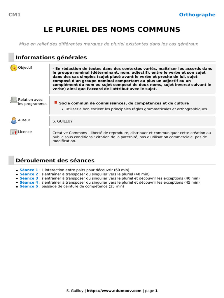Le Pluriel Des Noms Communs | PDF | Nombre grammatical | Orthographie