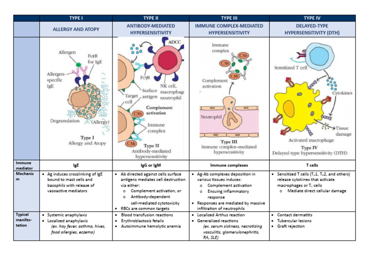PHYSIO Hypersensitivity Reactions Table | PDF
