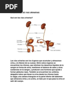 CISTOCLISIS | PDF | Vejiga urinaria | Orina