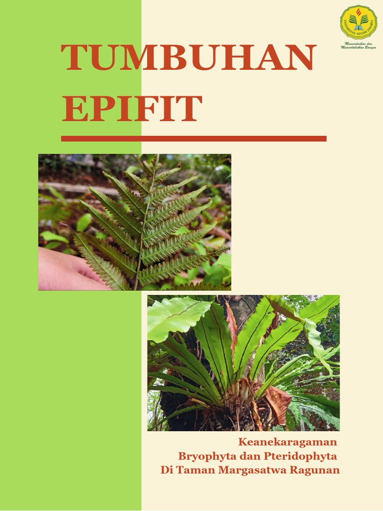 Tumbuhan Epifit (Fix) | PDF
