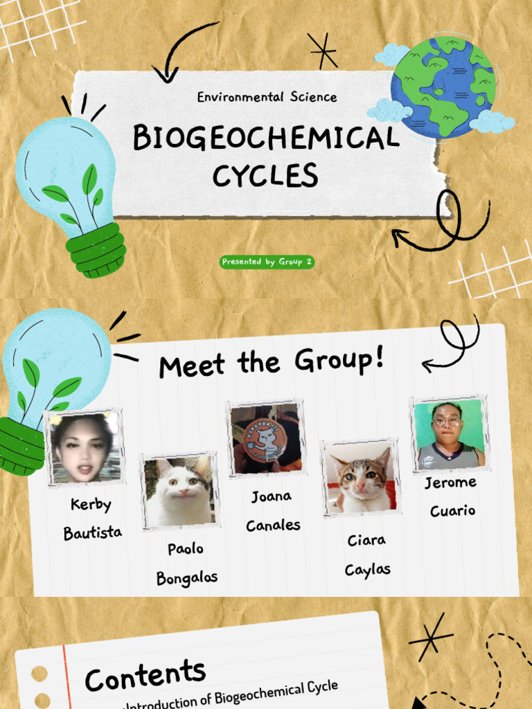 Biogeochemical Cycles | PDF | Earth Sciences | Biology