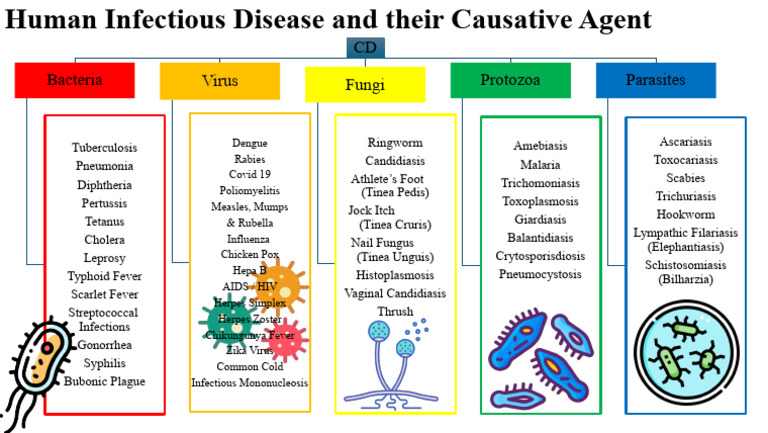 Human Infectious Diseases Overview | PDF