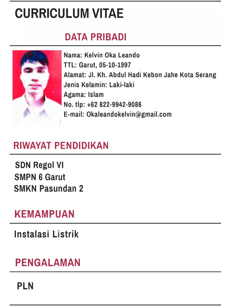 Curriculum Vitae-WPS Office | PDF