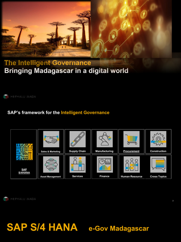 Madagascar's Digital Governance Vision | PDF | Identity Document ...