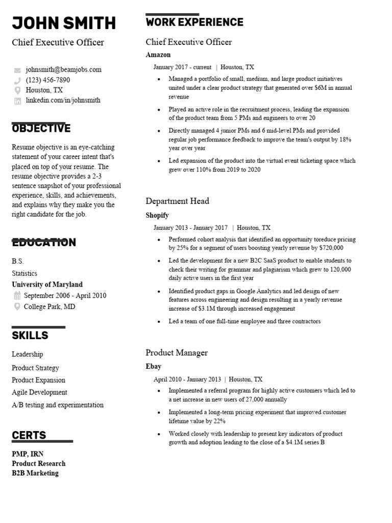 Basic Word Resume Template | PDF | Business Economics | Business Process