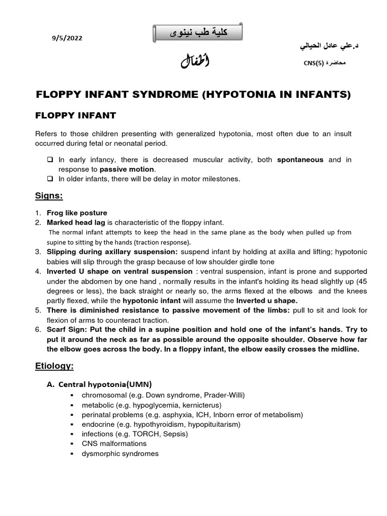 Lec 5 CNS | PDF | Muscular Dystrophy | Anatomical Terms Of Motion
