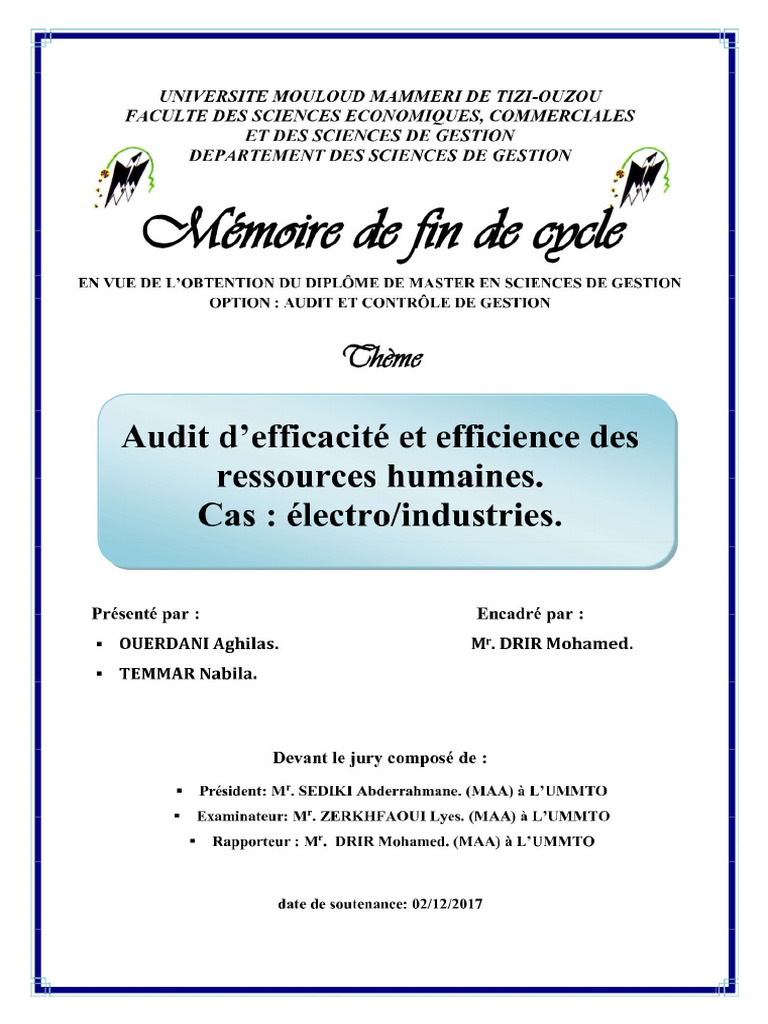 AudiT d'EfficaciTé ET D'efficience Cas PraTique | PDF