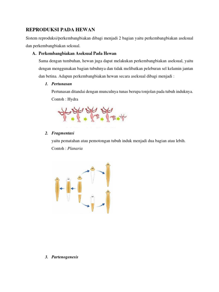 Reproduksi Hewan: Aseksual & Seksual | PDF