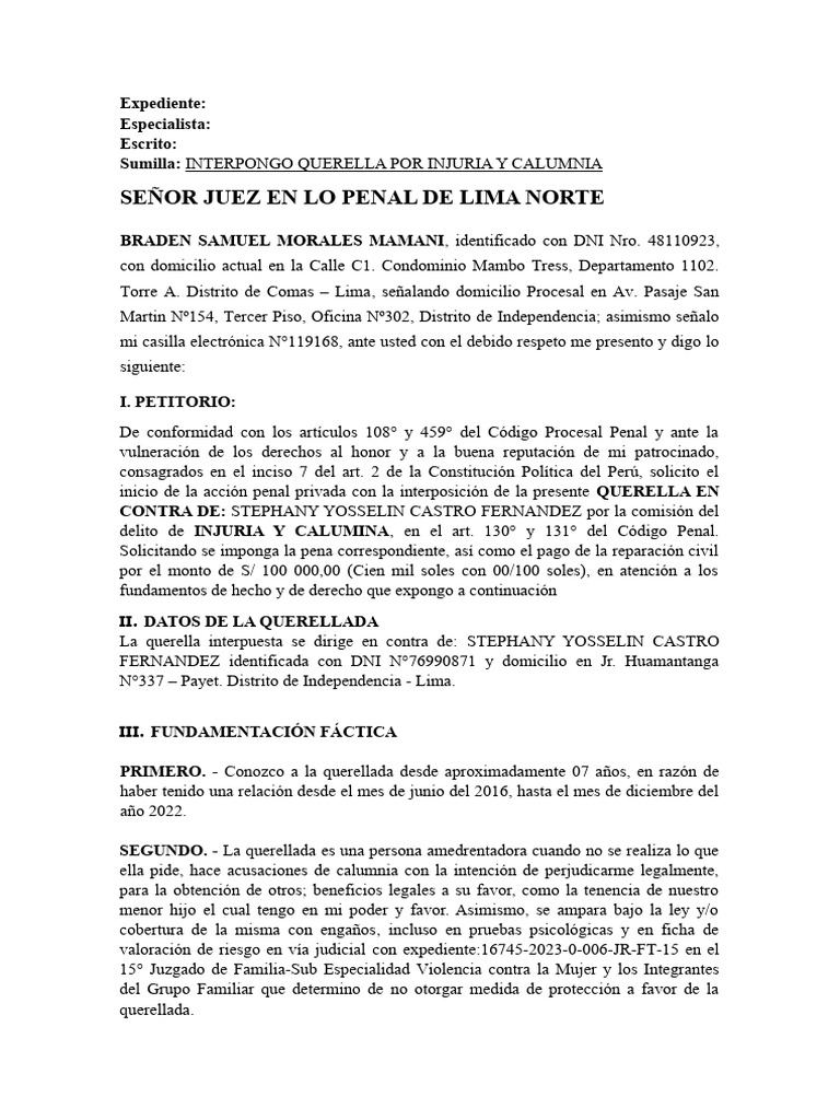 Querella Por Injuria y Calumnia. Braden | PDF | Derecho penal | La violencia contra las mujeres