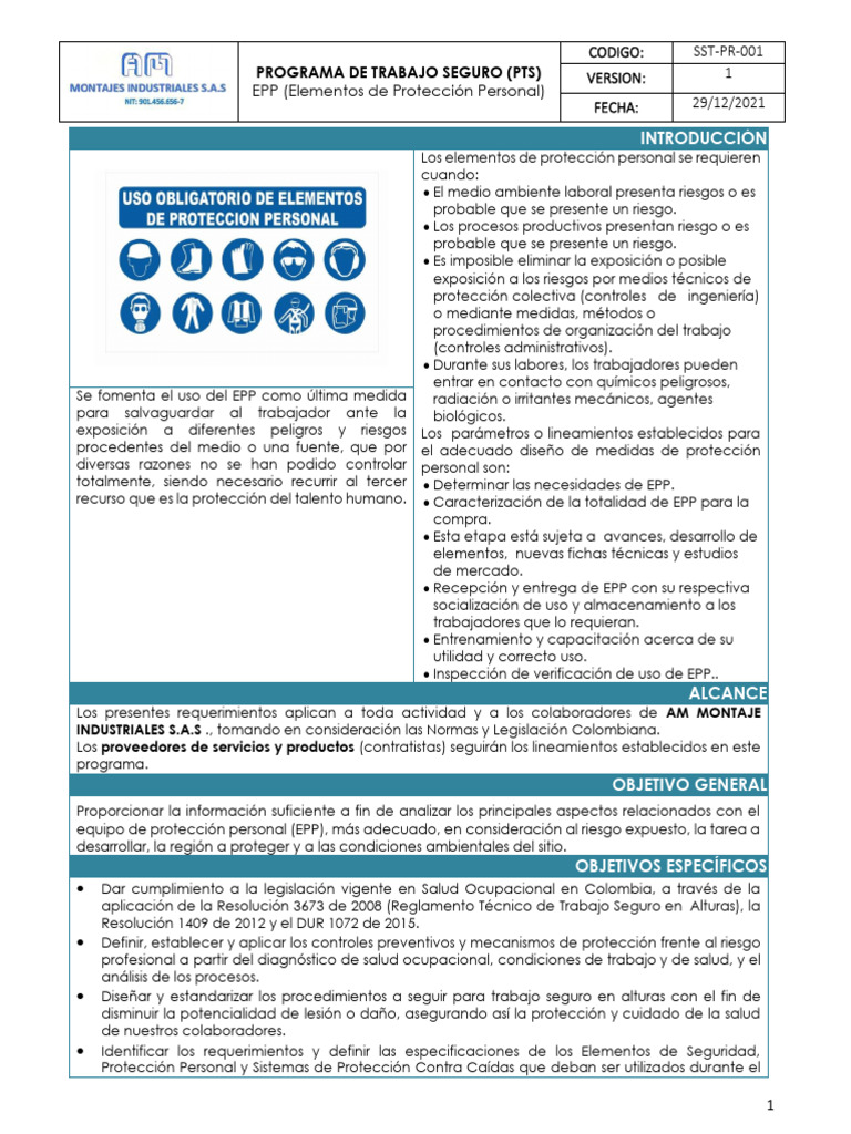 SST-PR-004 - Programa de Trabajo Seguro EPP | PDF | Seguridad y salud ...