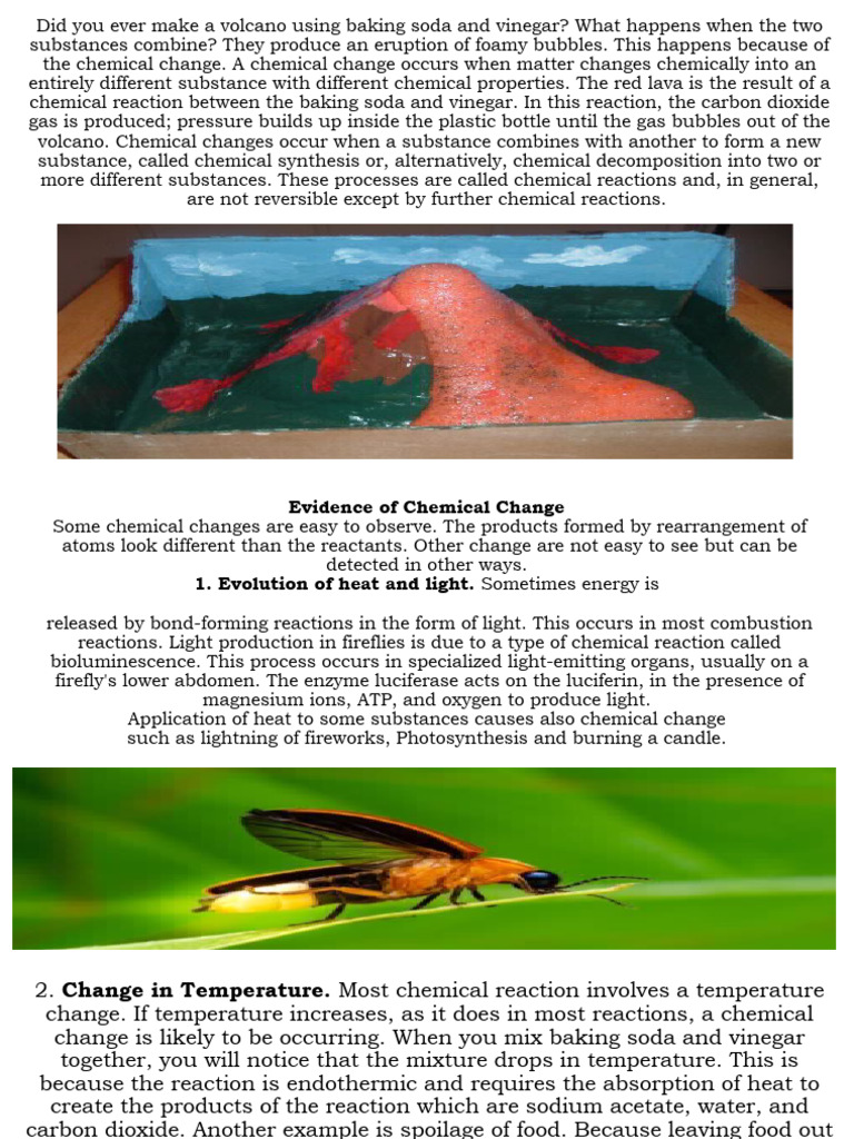 Understanding Chemical Changes | PDF | Chemical Reactions | Chemical ...